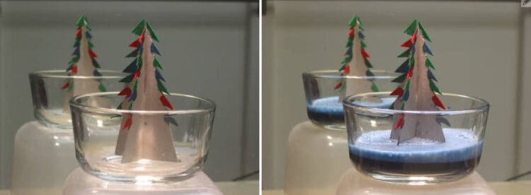 Create a Stunning Magic Crystal Tree: A Fun and Easy DIY Project