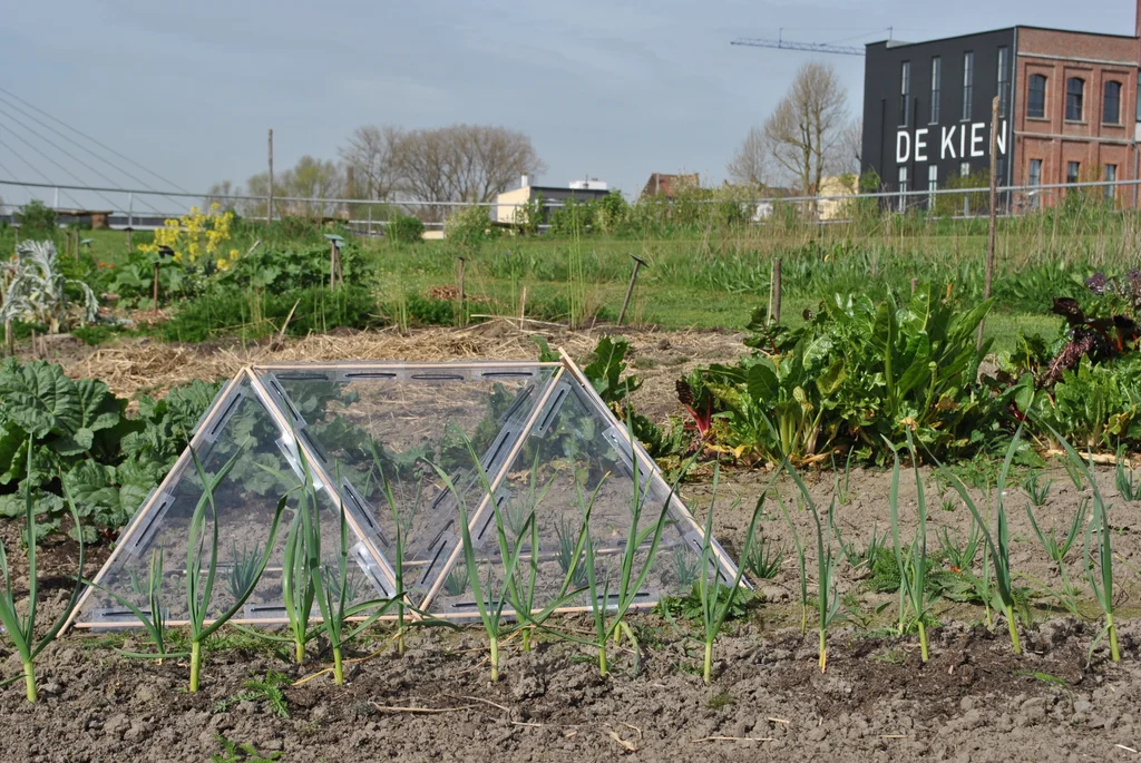 How to Build a Modular Greenhouse: A Simple Guide for DIY Enthusiasts
