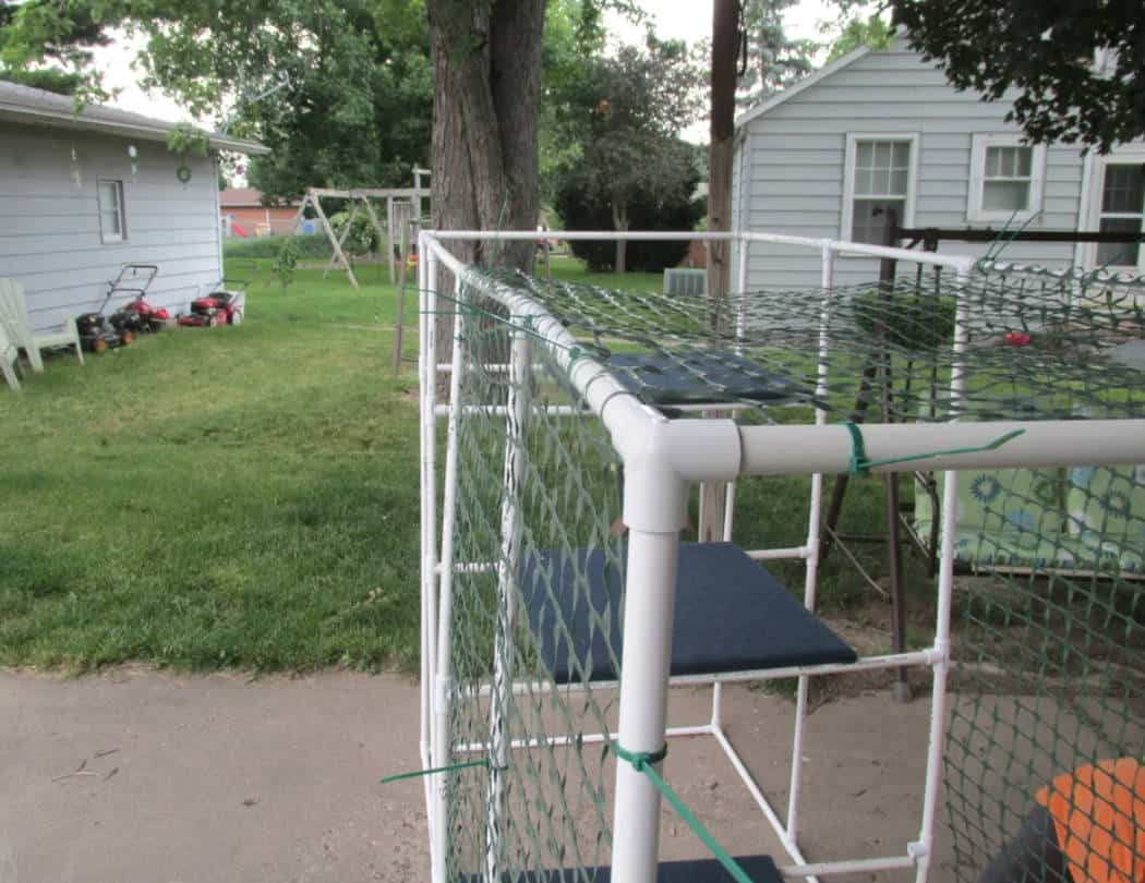 DIY Outdoor Cat Enclosure Using PVC and Poultry Netting