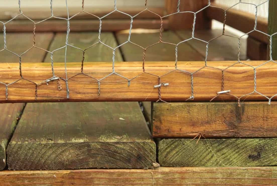 DIY Outdoor Cat Habitat: A Safe and Fun Space for Our Feline Friends