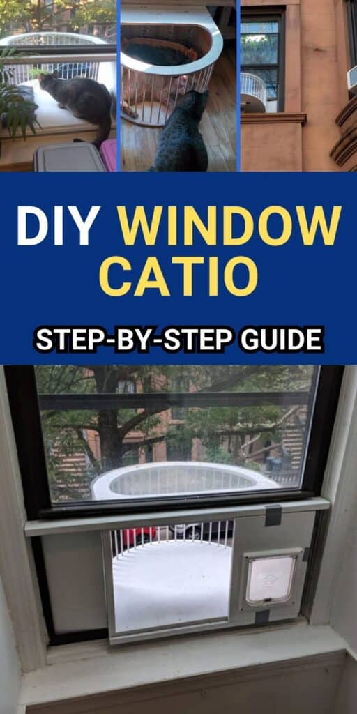 DIY Window Catio Plan for a Safe and Enriching Feline Space