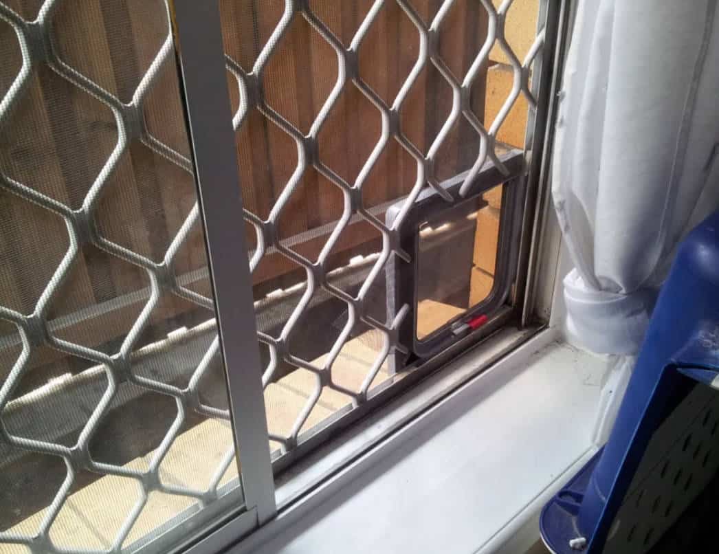 DIY Cat Run for Outdoor Safety: A Complete Guide