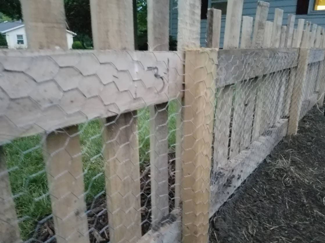DIY Dog Fence with Reclaimed Pallets