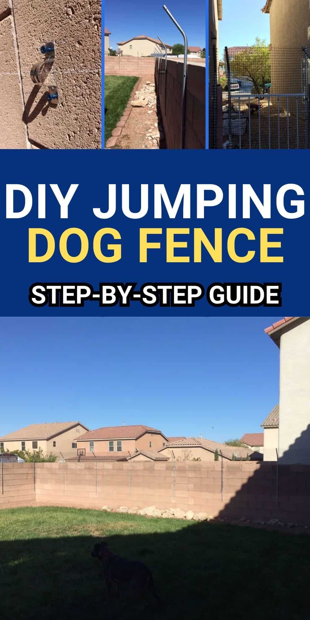 How We Built a Dog Jump Barrier That Actually Works?